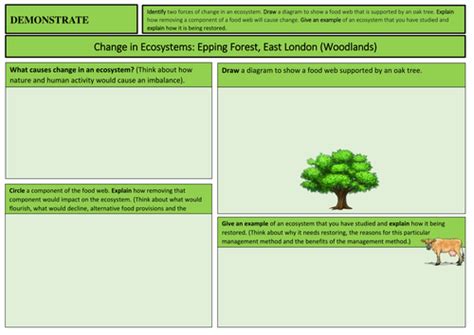 Gcse Geography Aqa 9 1 Ecosystems Sow Teaching Resources
