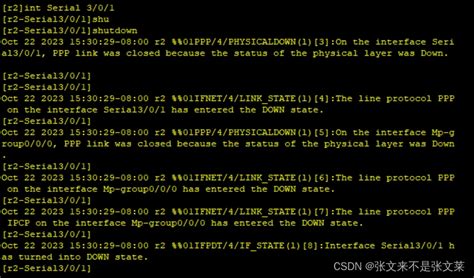 ppp链路实验 csdn博客