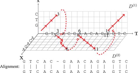 Visualization of the algorithm applied to the string T ¼ GTC Download Scientific Diagram