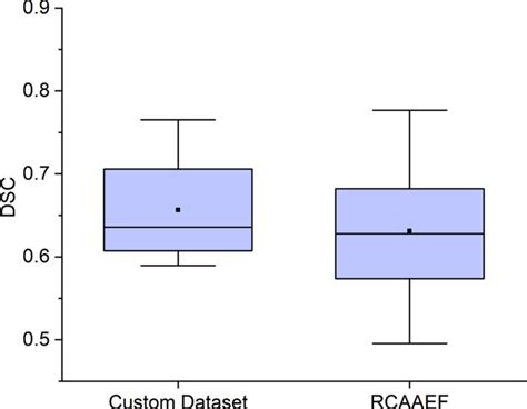 Box Plot Of Dsc In Controlled Test Dataset For Both Our Custom Dataset