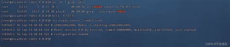 linux常用命令操作及springboot项目的部署 纯命令行部署springboot csdn博客