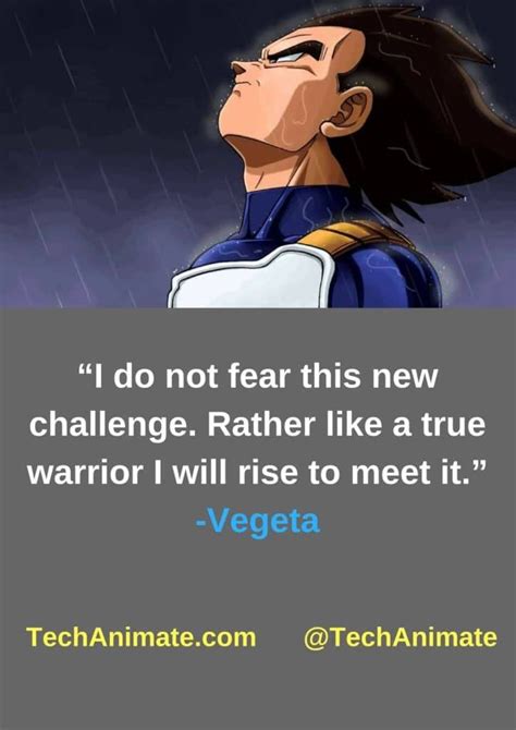 Goku Vegeta Quotes Vegeta Quote Super Saiyan God Dragon Ball Vegeta