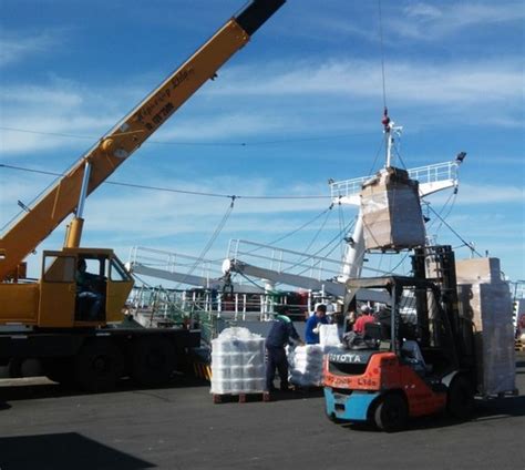 Langostino Y Calamar También Deberán Contar Con Certificado De Captura