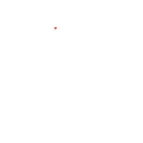 Cbis Ddsm Dataset Ninja