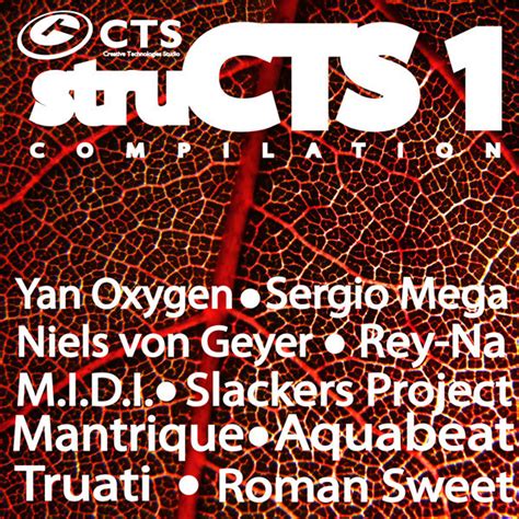 structs 1 2011 file discogs
