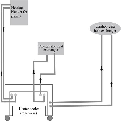 Microbiological Problems And Biofilms Associated With Mycobacterium Chimaera In Heatercooler