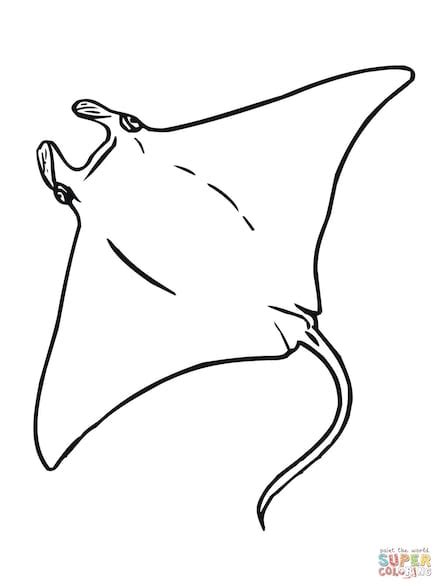 ¡feliz Día De La Mantarraya 8 Dibujos Para Colorear E Imprimir