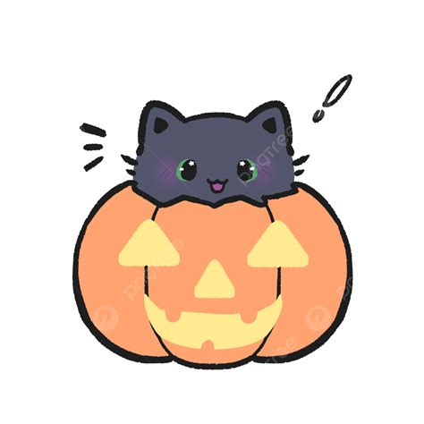 Cat Out Of Pumpkin Halloween Illustration Cat Pumpkin Halloween Png