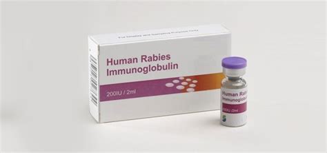 Immunoglobulin Rabies Vaccine The Complete Faq Guide In 2025 Aipak Engineering