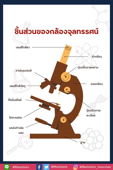Mainstairs ประโยชน์ของกล้องจุลทรรศน์ 🔬