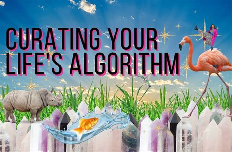 curating your life s algorithm