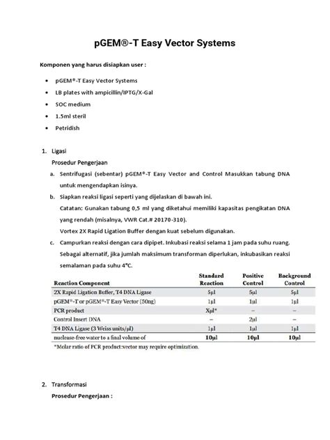 Pgem® T Easy Vector Systems Pdf
