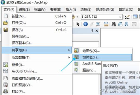 使用arcmap 生成tpk和geodatabase包arcgis 注记导出 Tpk 模糊 Csdn博客