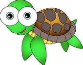 Mid Coast Family Rentals Maine Crib Rentals More Turtle Named Tiny Tim