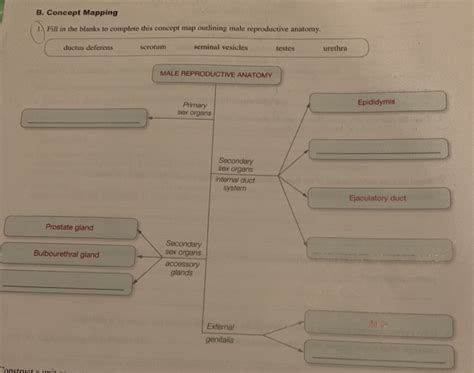 Solved B Concept Mapping 1 Fill In The Blanks To Complete Chegg Com