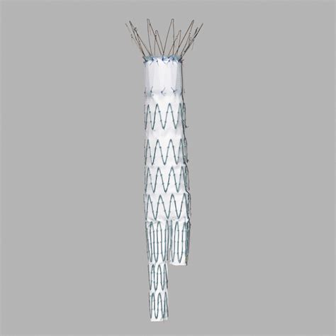 Zenith Flex® Aaa Endovascular Graft Bifurcated Main Body Graft