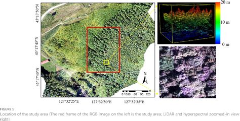 Figure 1 From Identification Of Tree Species Based On The Fusion Of Uav Hyperspectral Image And
