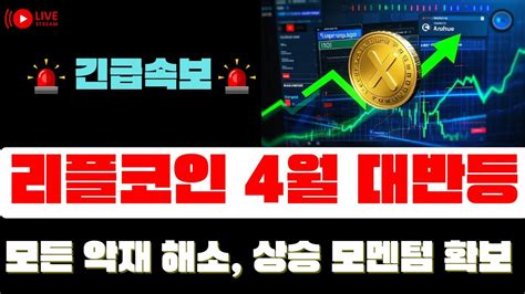 리플xrp 코인전망 5분전 긴급속보⚠️ 4월부터 달라집니다 모든 악재 해소 상승 모멘텀 확보 Youtube