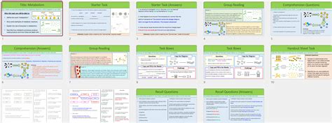 Metabolism Lesson Gcse Biology Teaching Resources