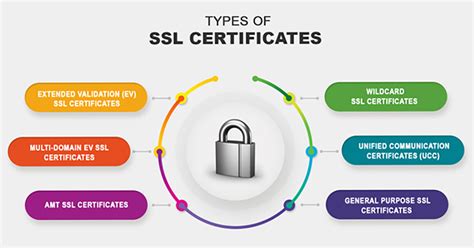 What Is An SSL Certificate Theshoppingpanda