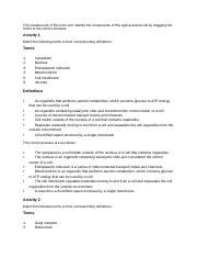 The Smallest Unit Of Life Is The Cell Docx The Smallest Unit Of Life Is The Cell Identify The