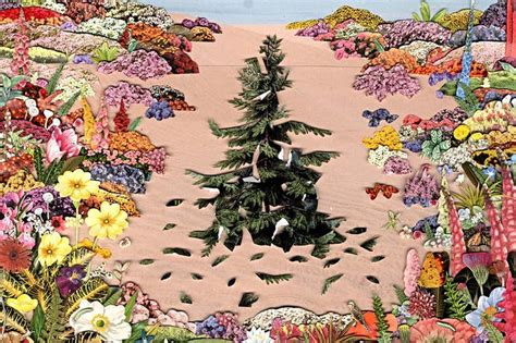 Issue 3412 Magazine Cover Date 12 November 2022 New Scientist