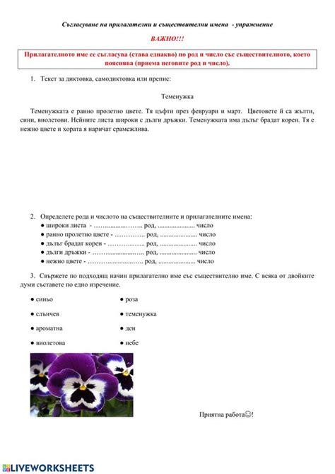 Съгласуване на прилагателни и съществителни имена 2 Worksheet Apple