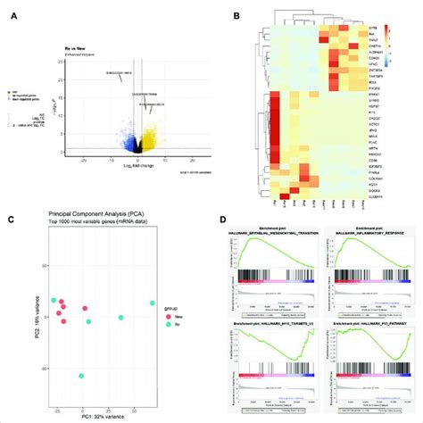 Overview Of Mirna Seq Results Of 12 Recurrent Tumors Vs 13 Primary Download Scientific Diagram
