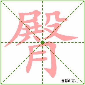 臀的笔顺 笔画数17 拼音tún 部首月 智慧山