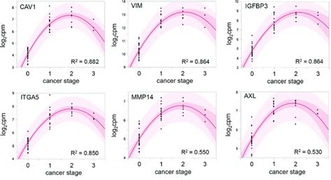 Bivariate Polynomial Regression Of The Mrna Abundance And Cancer Stage Download Scientific