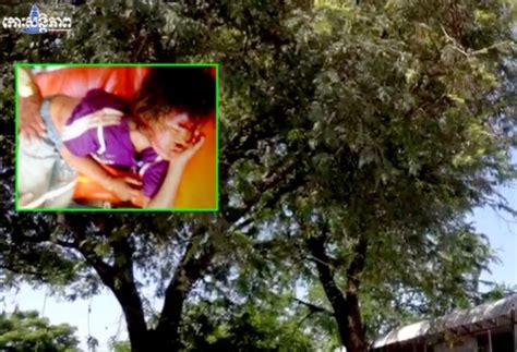 នាងតូច ឡើង បេះស្លឹកអំពិលយកទៅលក់ ជាន់ ចំមែក ផុយ បាក់ធ្លាក់មករងរបួសធ្ងន់ Khmerload