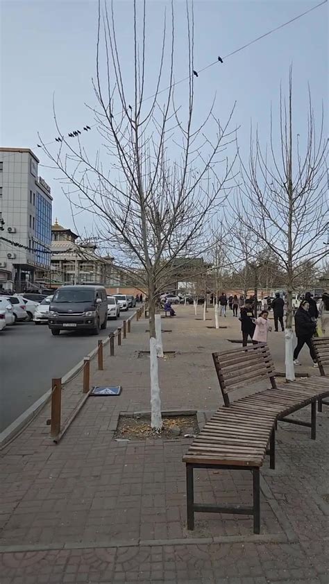 Бороо ороод норцон байгаа нь😇 By А Хонгорзул Facebook