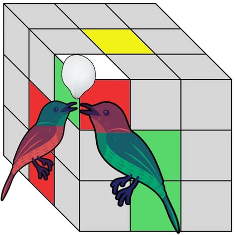 how to solve the rubik s cube in 8 easy steps using bunnies