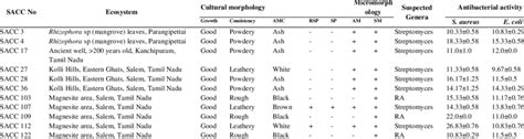 Actinobacterial Cultures Showing Broad Spectrum Antibacterial Activity