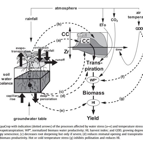Pdf Aquacrop Faos Crop Water Productivity And Yield Response Model
