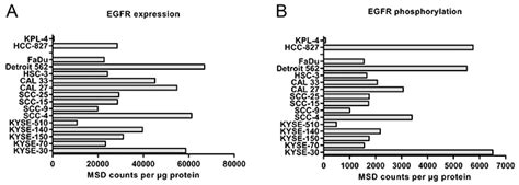 Egfr Overexpression Is Not Common In Patients With Head And Neck Cancer