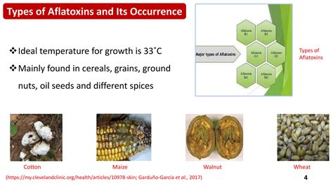 Detection And Detoxification Of Aflatoxin Ppt