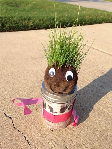Grass Head