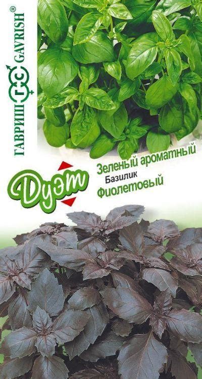 Золотая сотка алтая