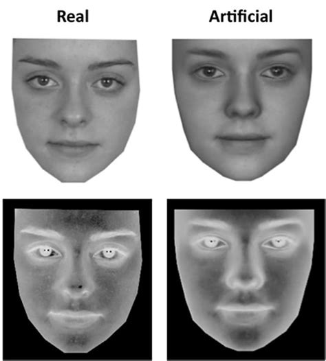 Real Or Fake Research Shows Brain Uses Multiple Clues For Facial Recognition Neuroscience News