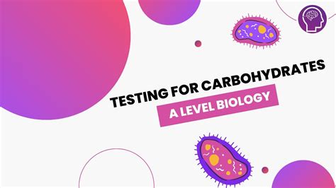 Testing For Carbohydrates A Level Biology OCR AQA Edexcel YouTube
