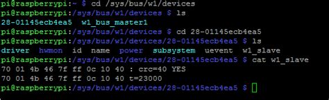 Aws Iot Sitewise With Raspberry Pi Temperature Sensor Ds18b20 Part I Michael Ellerbeck
