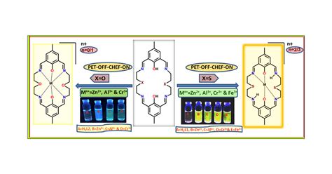 Aza Phenol Based Macrocyclic Probes Design For 59 Off