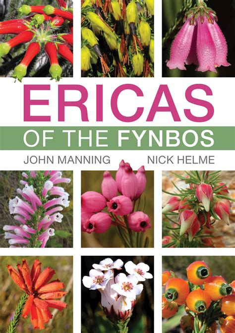 Ericas Of The Fynbos Veldshop