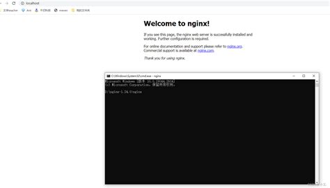 win 下nginx的安装和常用配置 csdn博客