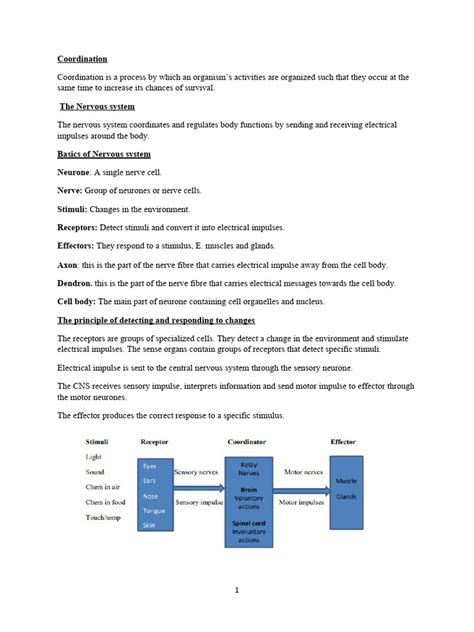 8 Coordination And Response Pdf Neuron Nervous System
