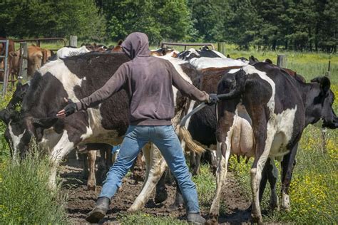What Is The Microbiome And Why Is It Important For Organic Livestock