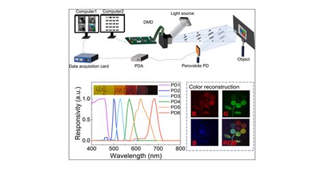 Self Powered Multispectral Photodetectors For High Fidelity Weak Light Panchromatic Imaging