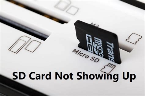 5 Ways To Fix Sd Card Not Showing Up Or Working Techcult