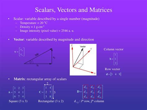 Ppt Linear Algebra And Matrices Powerpoint Presentation Free Download